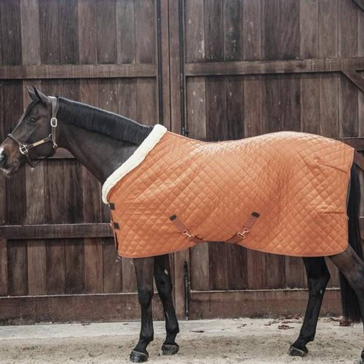 Kentucky Show Rug 160 g - Tune Equestrian